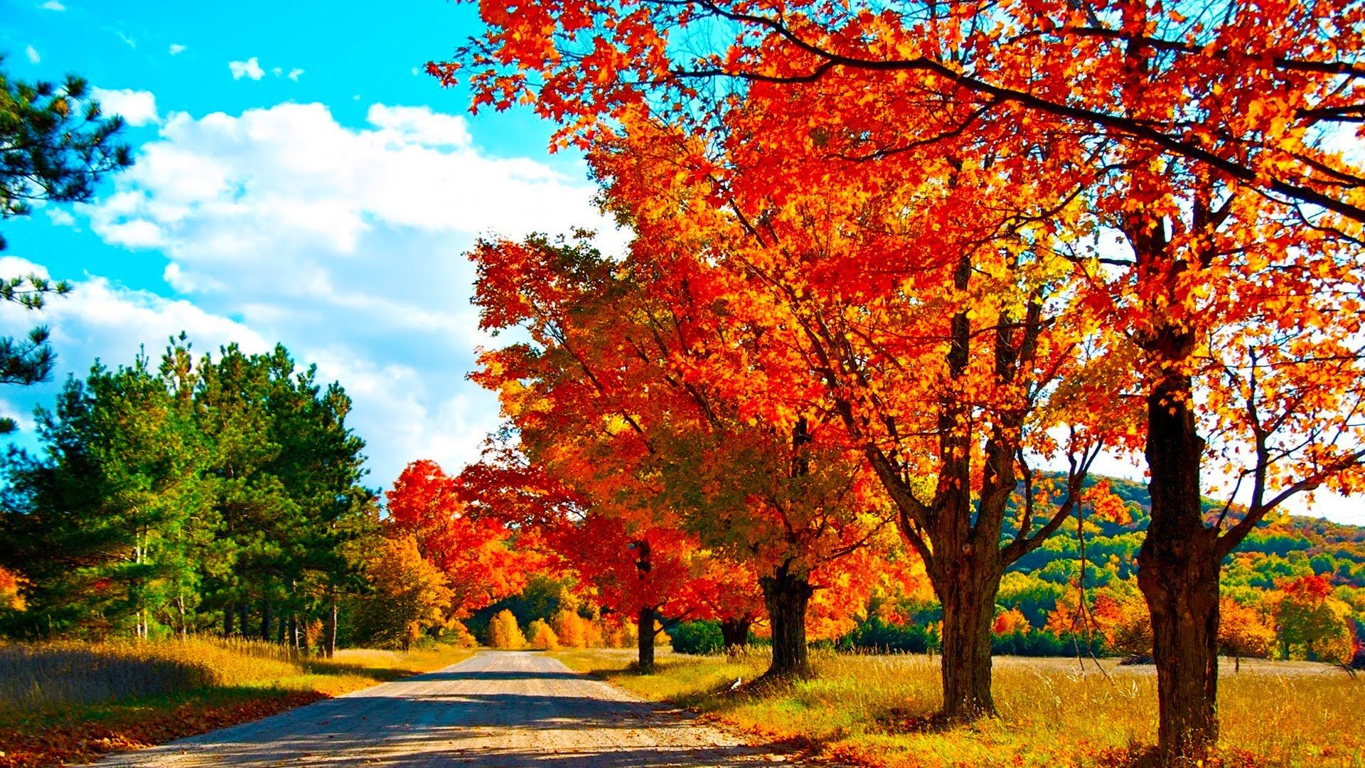 Les habitudes d'Automne qui font du bien… - grain2beaute